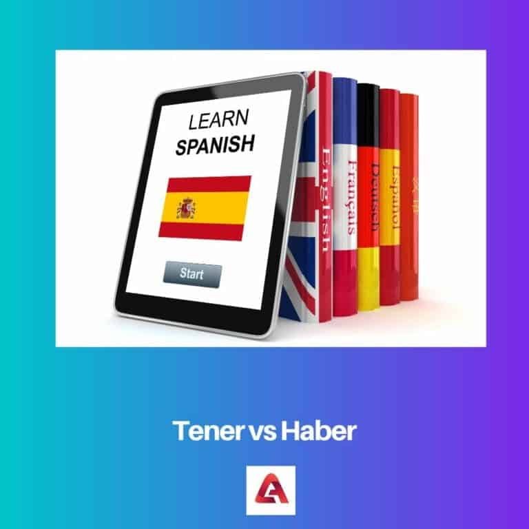 Tener vs Haber: Difference and Comparison