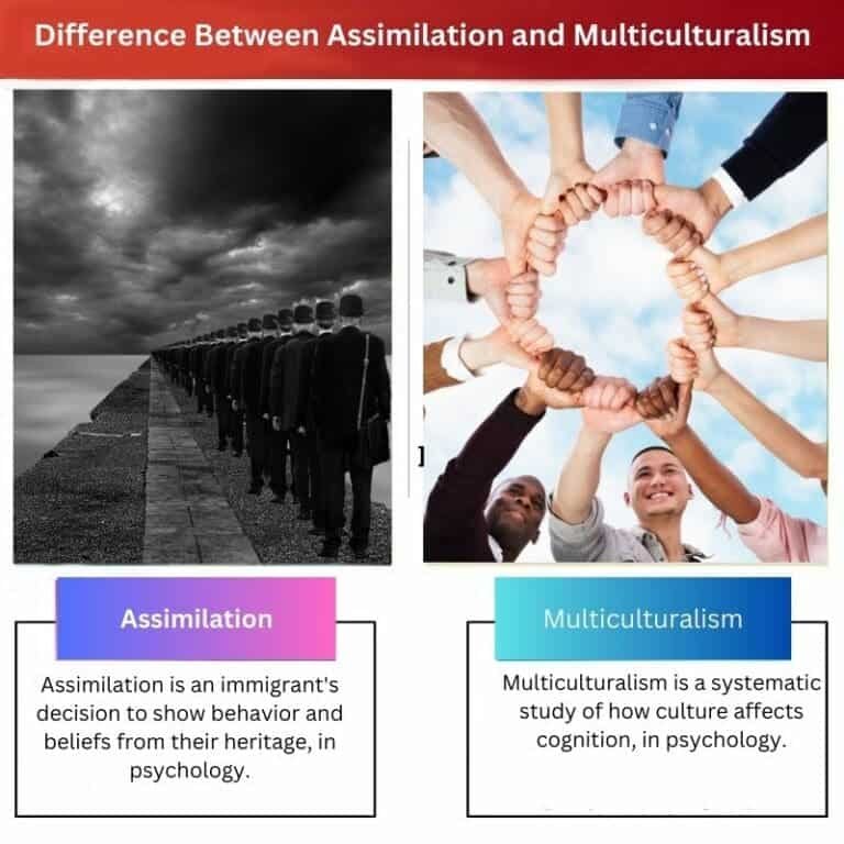 Assimilation vs Multiculturalism: Difference and Comparison
